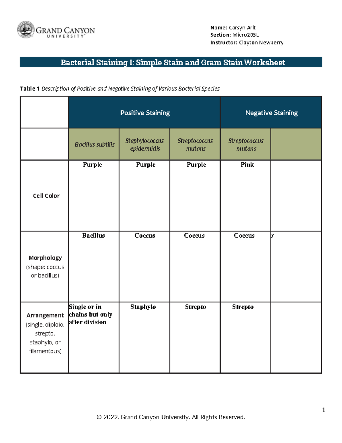 Bacterial Staining - Worksheet - Section: Micro205L Instructor: Clayton ...