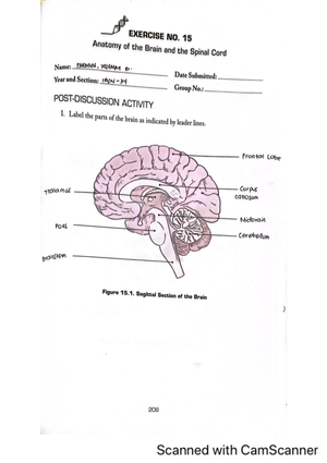 Group 2 NCP - NURSING CARE PLAN - NURSING CARE PLAN Patient’s Initials ...