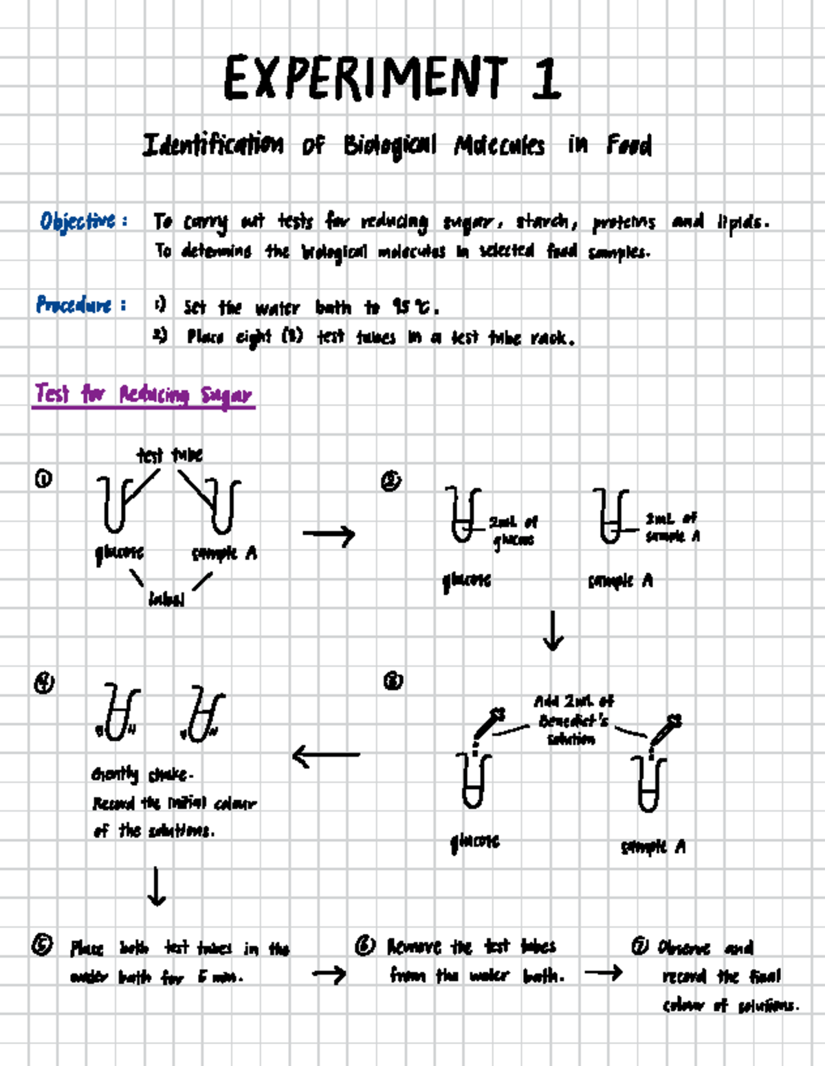 BIO Lab Jotter - EXPERIMENT I Identification of Biological Molecules in ...