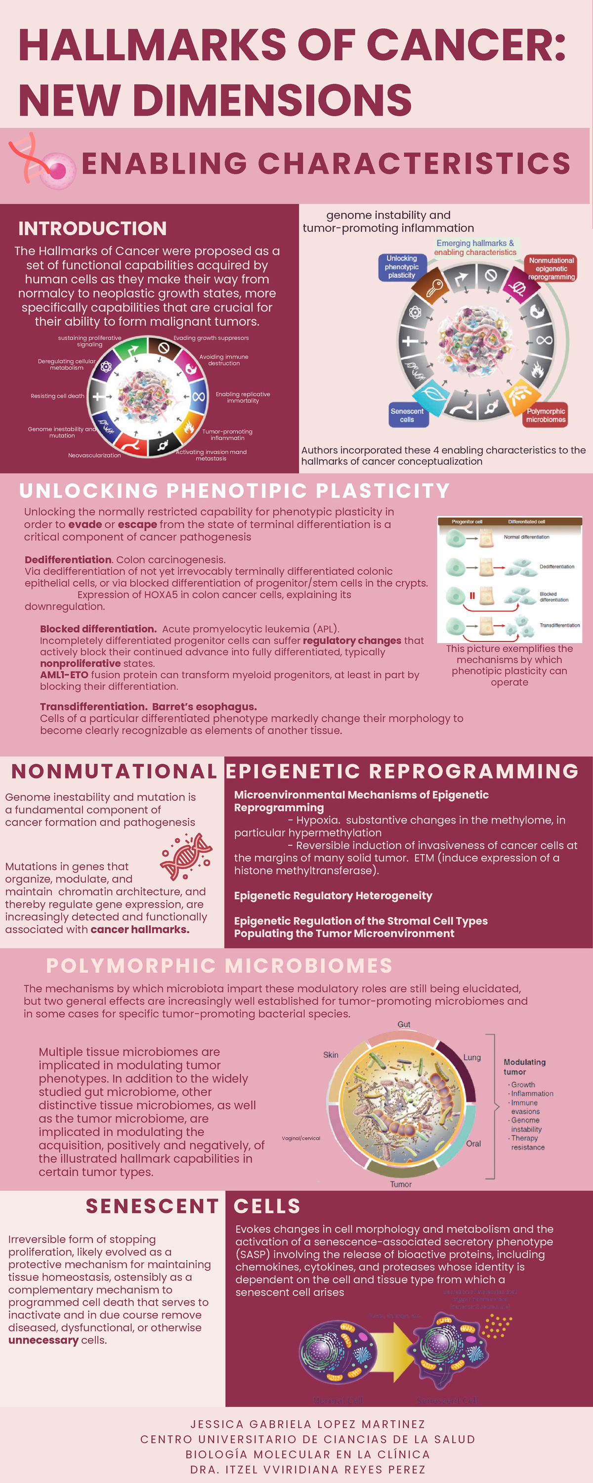 Hallmarks of Cancer: Infographic on Cancer Mechanisms and Traits - Studocu