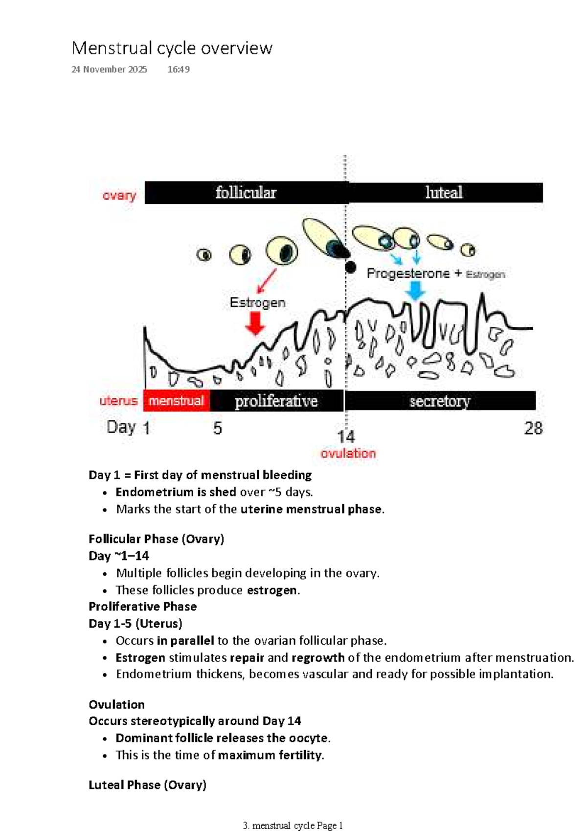 Menstrual Cycle Overview: Phases, Hormones, and Feedback Mechanisms ...