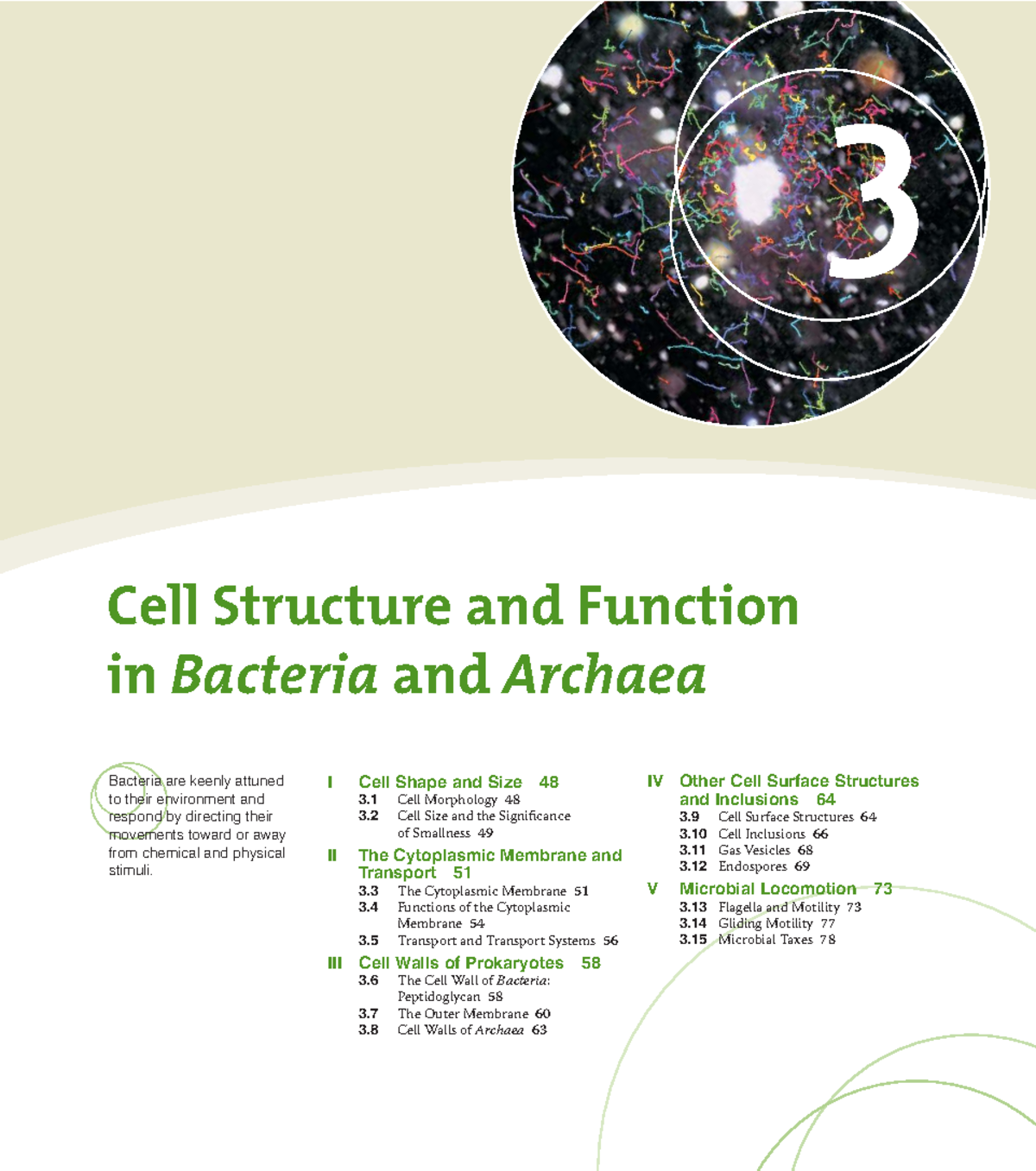Cell Structure and Function in Bacteria and Archaea (BIO 101) - Studocu
