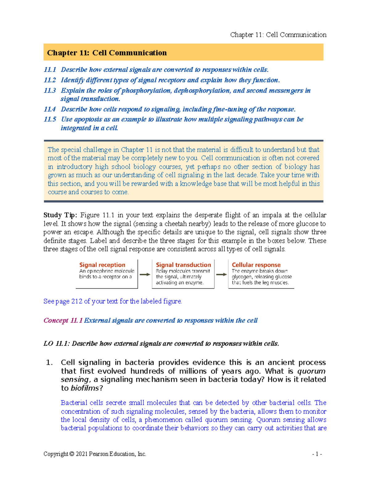 Bio12 ARG Answer Key 11 - Chapter 11: Cell Communication 11 Describe ...