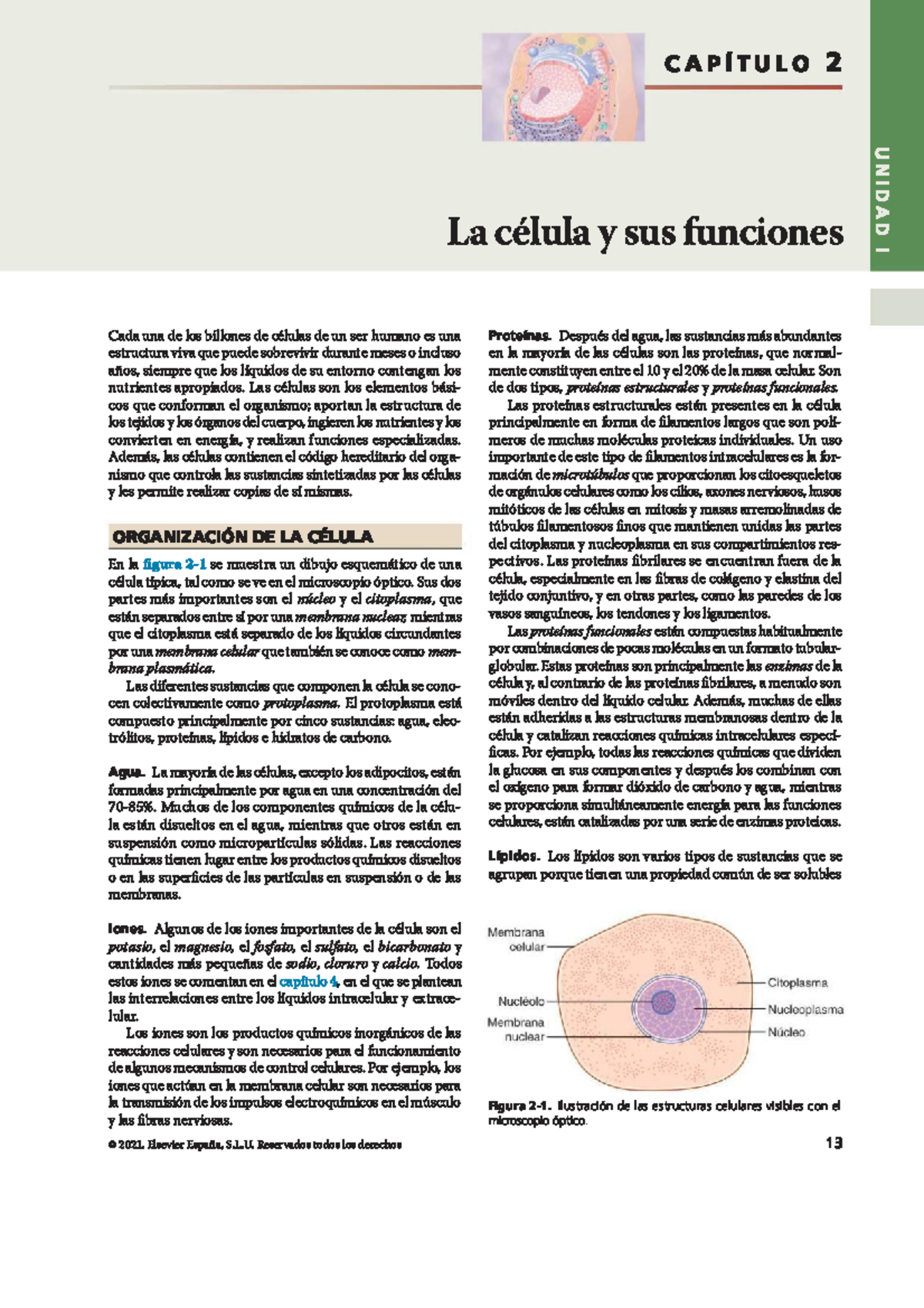 Estructura y Funciones de la Célula: UNIDAD I - Fisiología General ...
