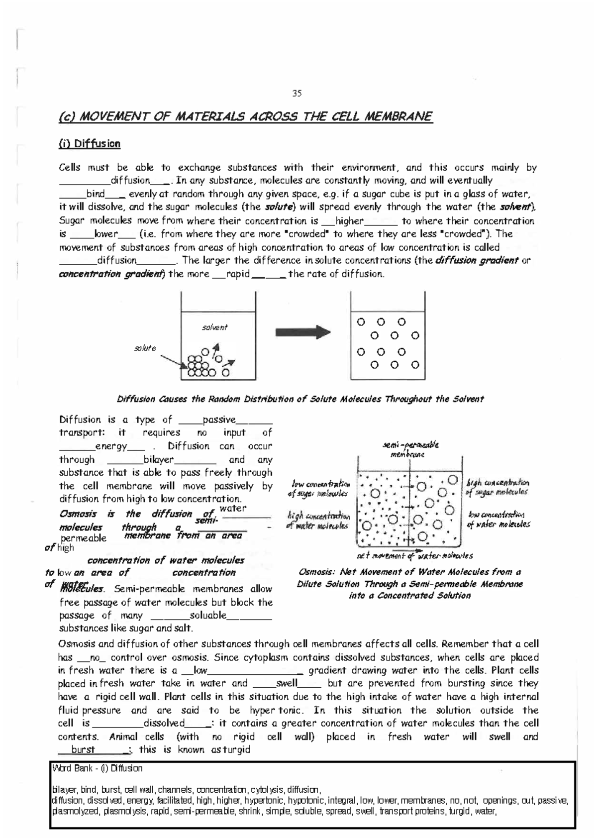 Movement of Materials Across Cell Membrane (Final Exam) - Studocu