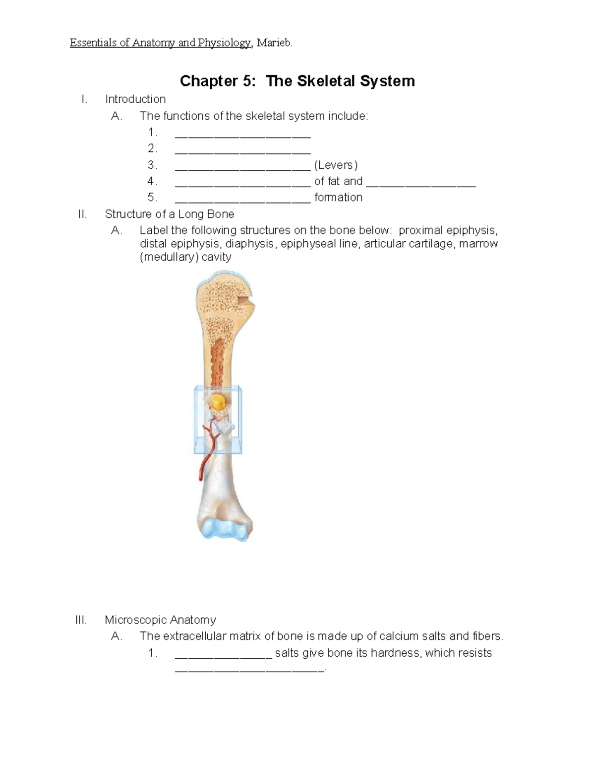 BIO+108HYB+Chapter+5+Skeletal+System+Study+Guide - Studocu