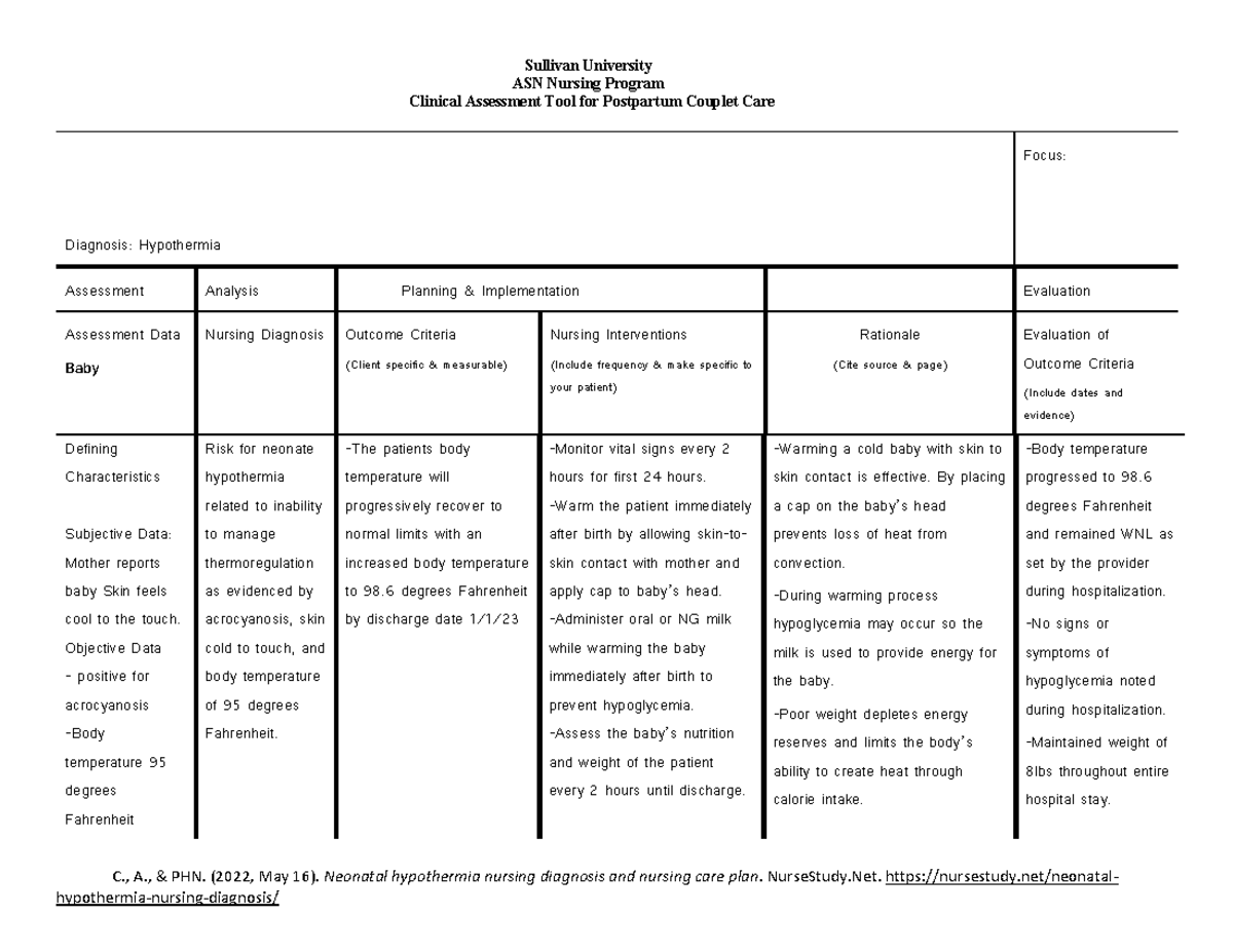 NUR251 Post Partum Baby Care Plan - Sullivan University ASN Nursing ...