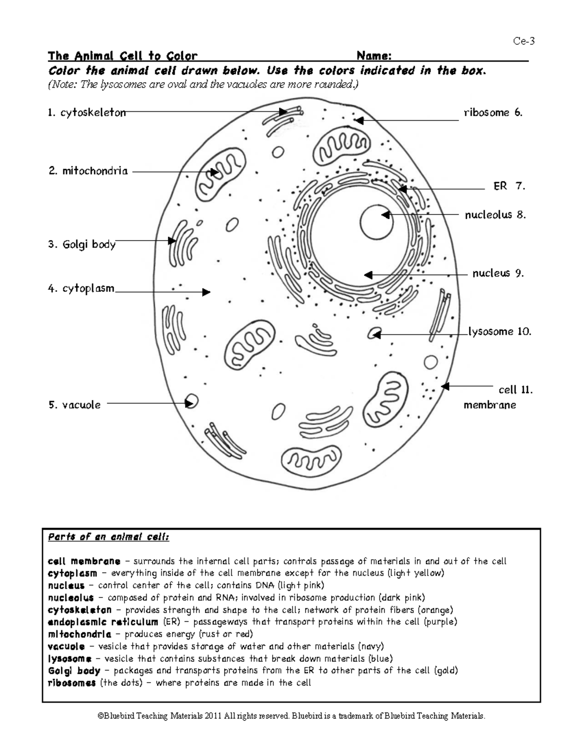 Animal Cell Worksheet: Labeling and Functions Guide - Studocu