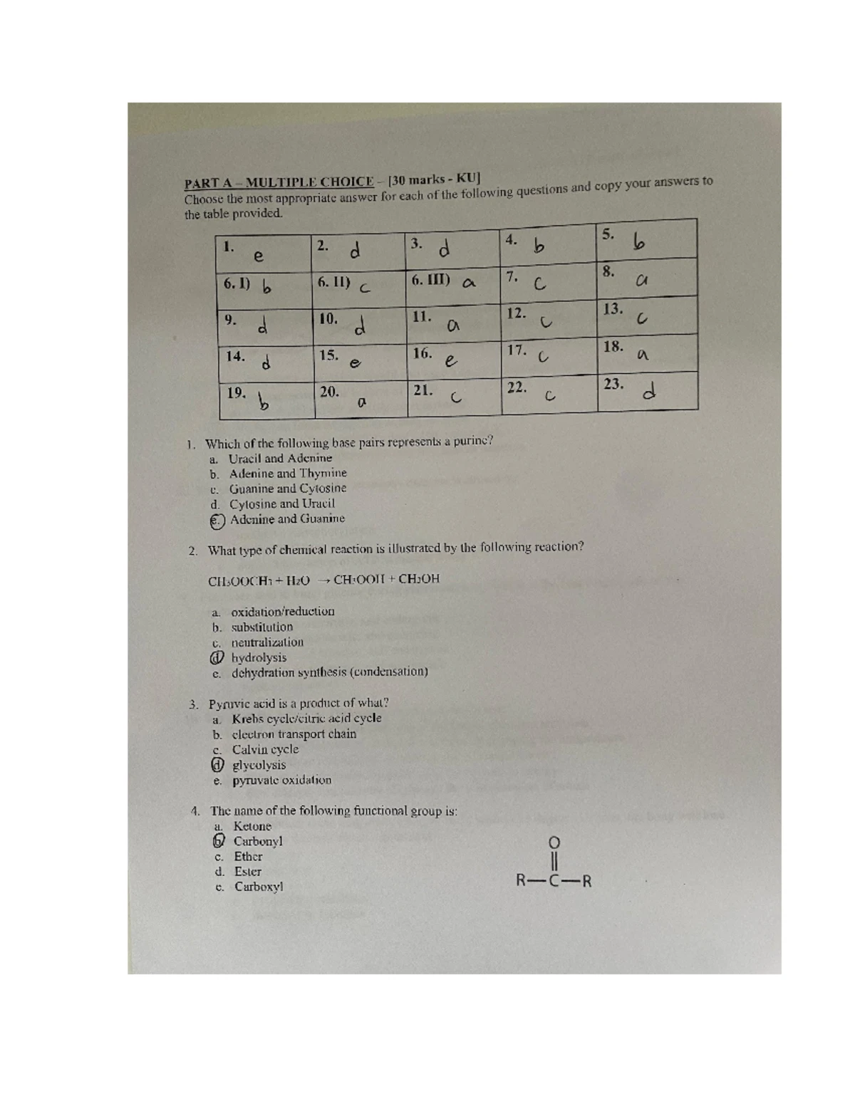 SBI4U Final Exam Study Guide - Grade 12 Biology Exam - Studocu