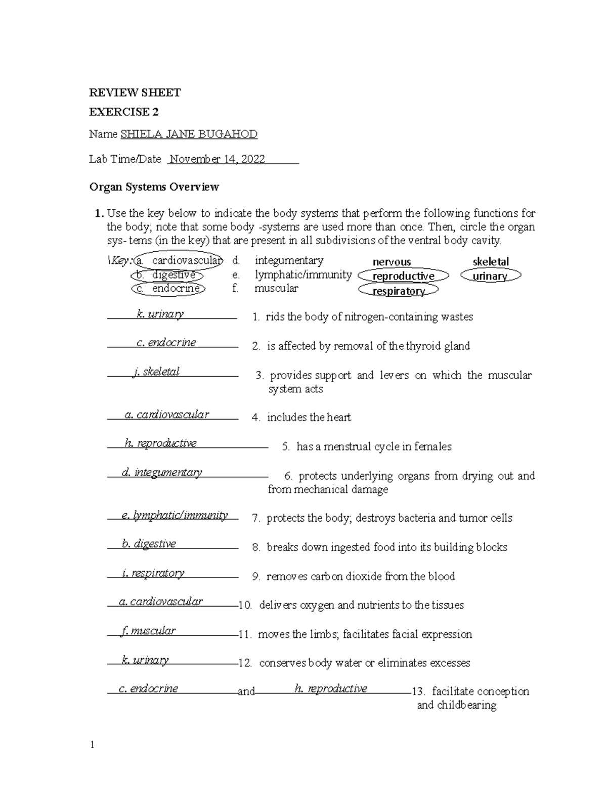 Organ system overview - 1 nervous reproductive respiratory skeletal ...