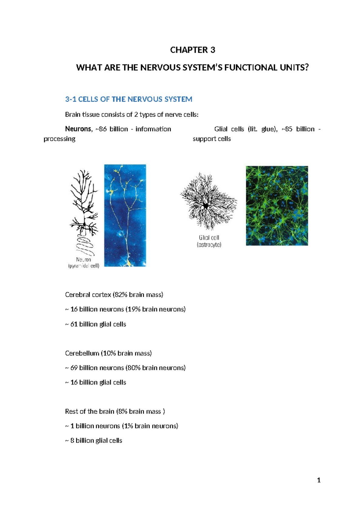 Chapter 3 Summary - Nervous System Functional Units in Brain & Behavior ...