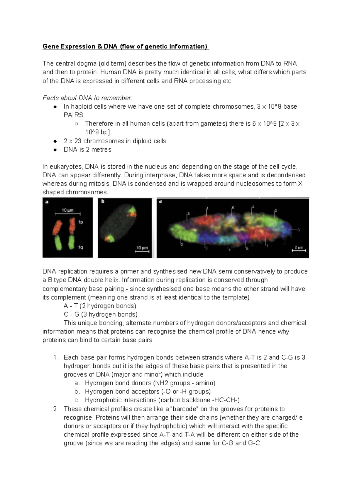 5BBG0205 Molecular Basis of Gene Expression: Central Dogma Explained ...
