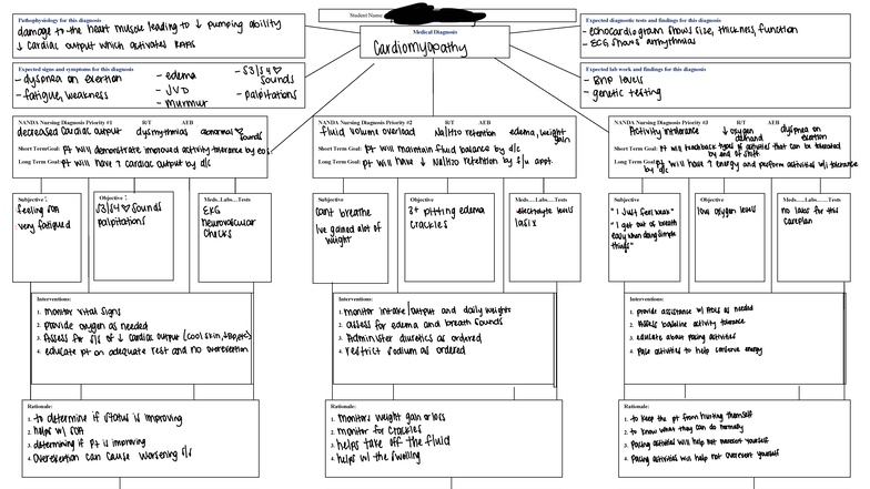 Med Surg Concept Map 2: Cardiac Output & Nursing Diagnosis (DLL 53154 ...