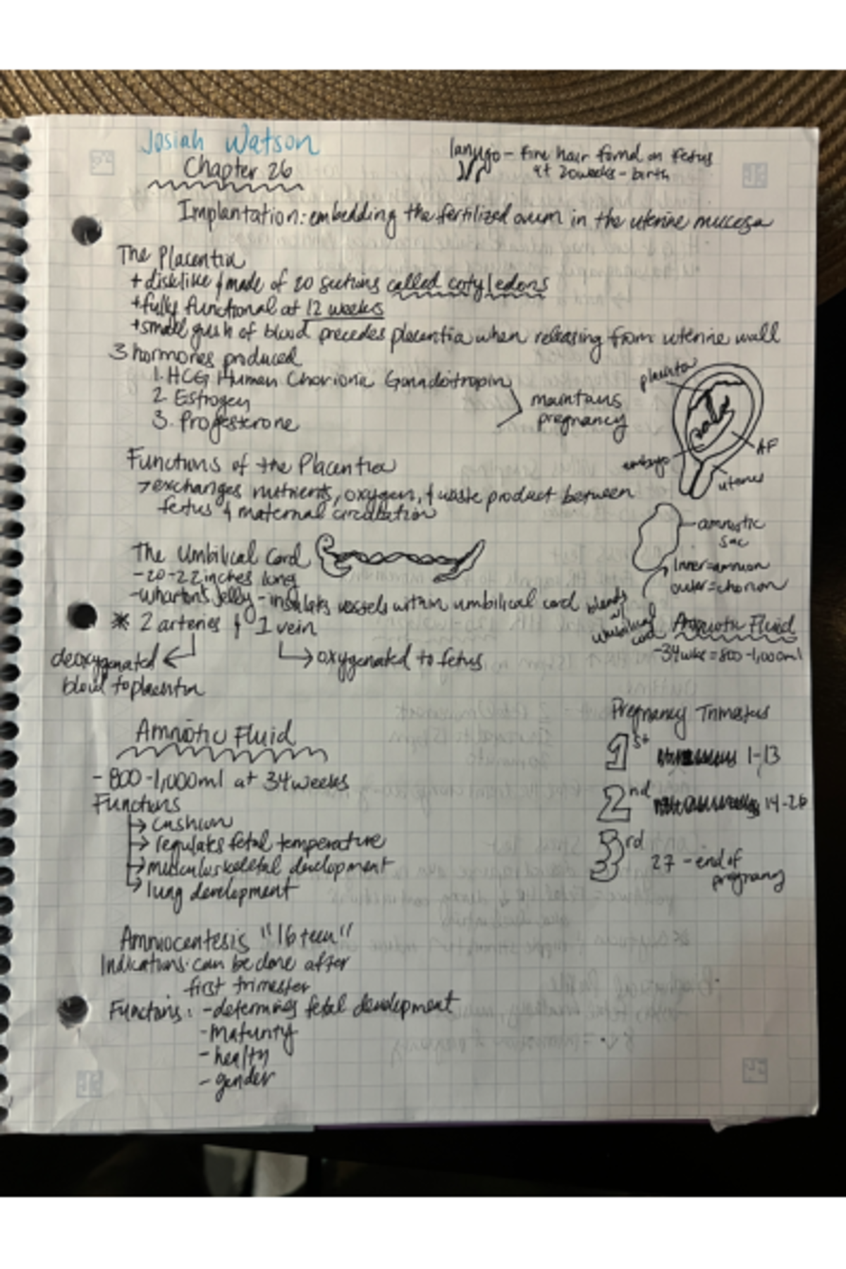 Chapter 26 functions of placenta - Josiah Watson fine hair found on ...