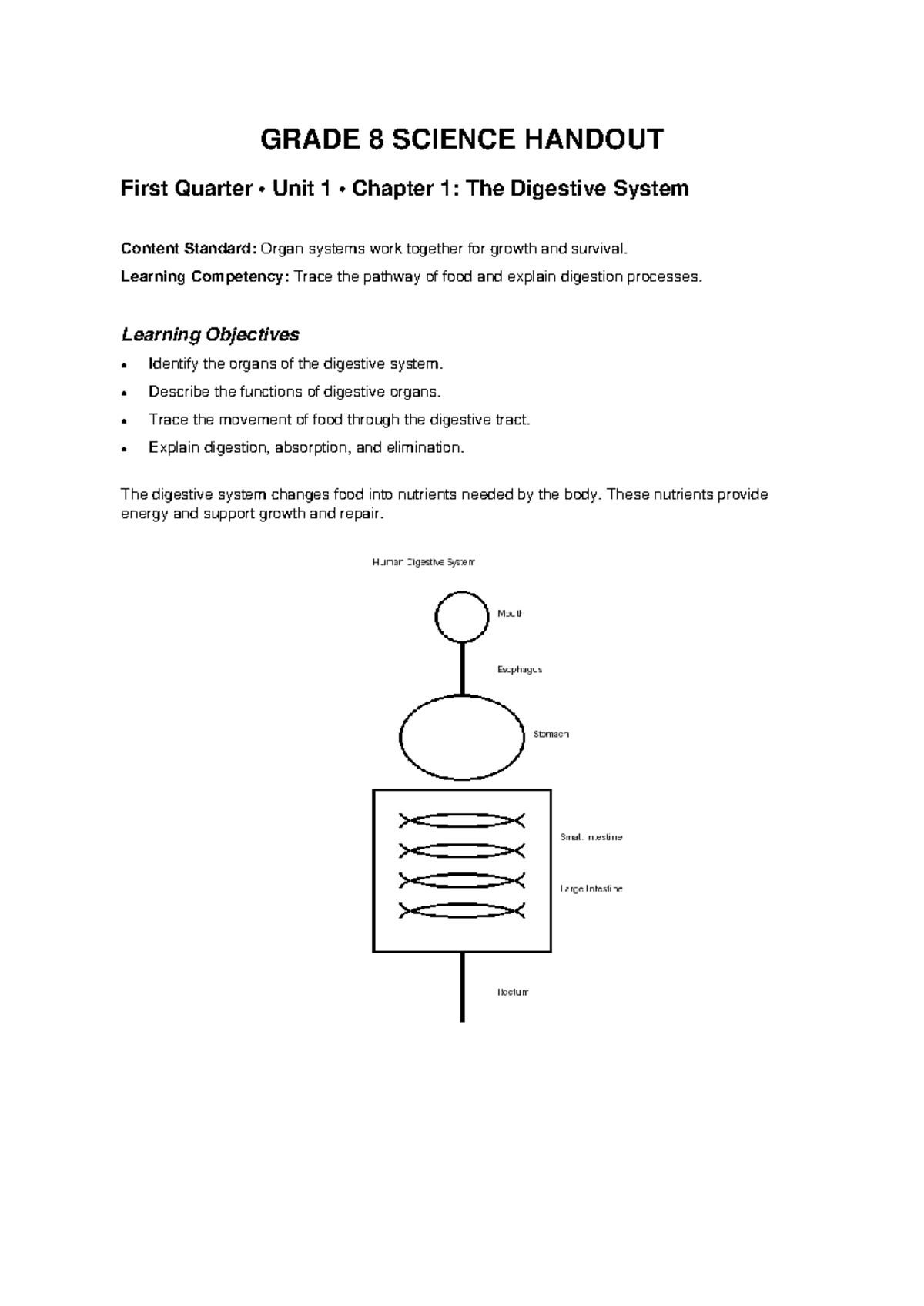 GRADE 8 SCIENCE HANDOUT: Digestive System Overview - Studocu