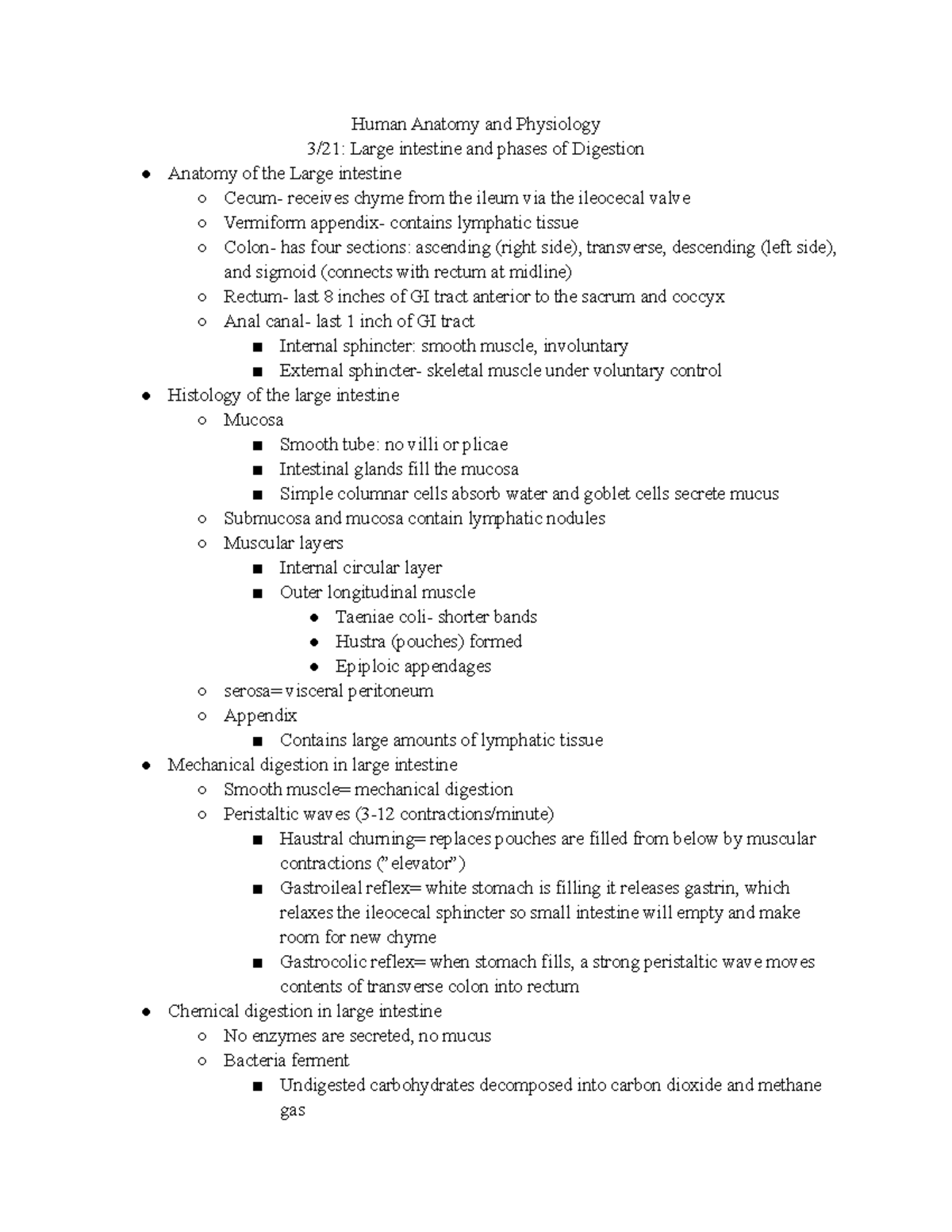Large Intestine & Digestion Phases: Anatomy & Functions Lecture Notes ...