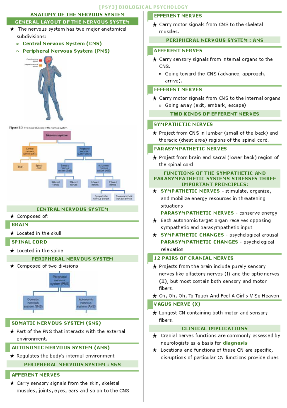 [PSY3] Biological Psychology: Anatomy and Functions of the Nervous ...
