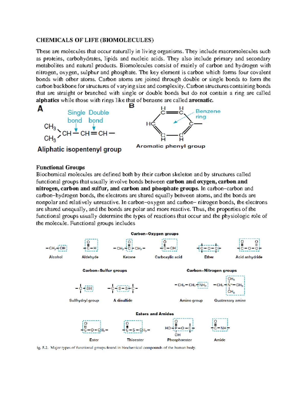 KJSEA Integrated Science Sample Paper 1 for Grade 9 - January 2025 ...