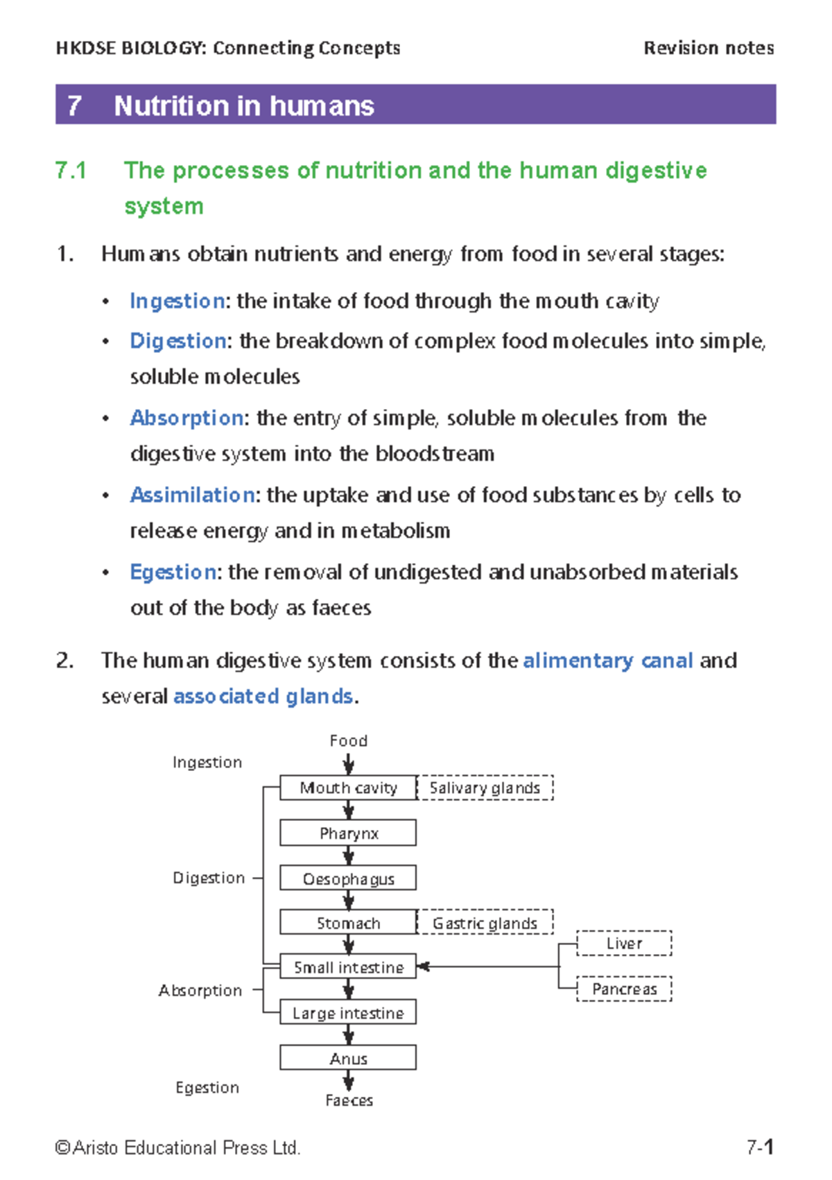 HKDSE BIOLOGY: Revision Notes on Human Nutrition & Digestive System ...
