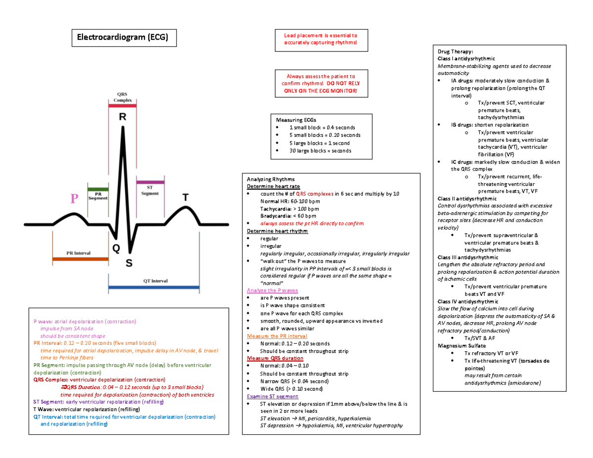EKG & Heart Concepts Overview: A Study Guide for Cardiac Care - Studocu