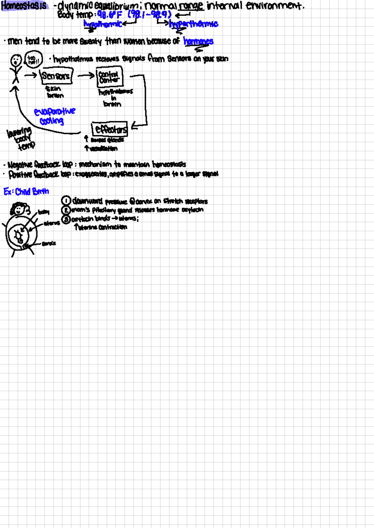 Biology 101: Final Exam Review on Cell Structure & Mitosis - Studocu