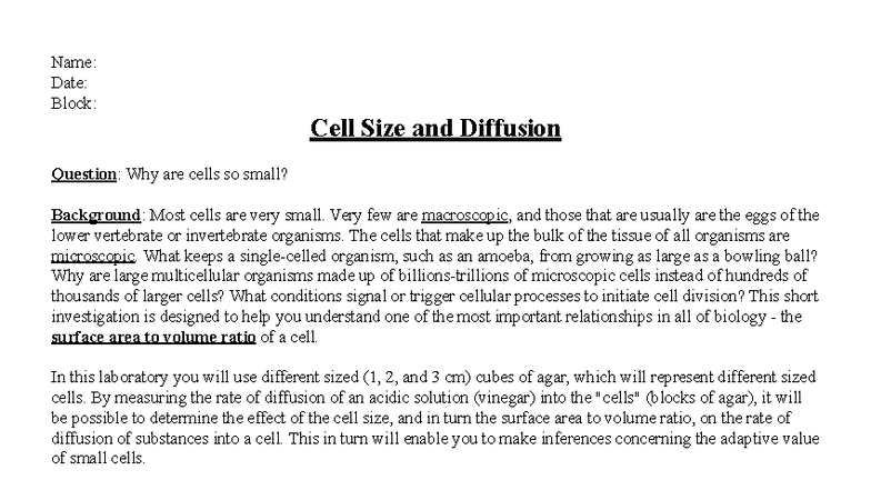 Cell Size and Diffusion Lab (BIO 101) - Understanding SA:V Ratio - Studocu