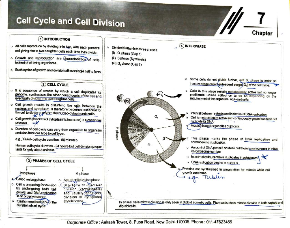 Class 11 CBSE Biology: Cell Cycle and Division Short Notes 2026 - Studocu