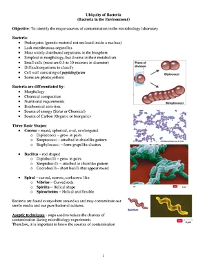 Lab Report: Isolation of Pure Cultures, Bacterial Smears, and Staining ...