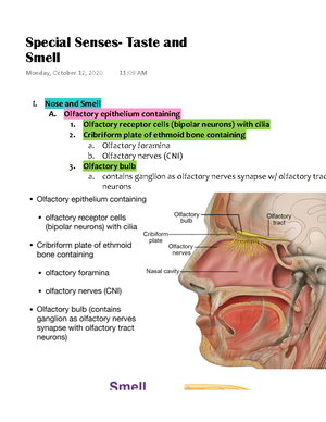 Physio Ex Exercise 3 Activity 1 - PhysioEx Lab Report Exercise 3 ...