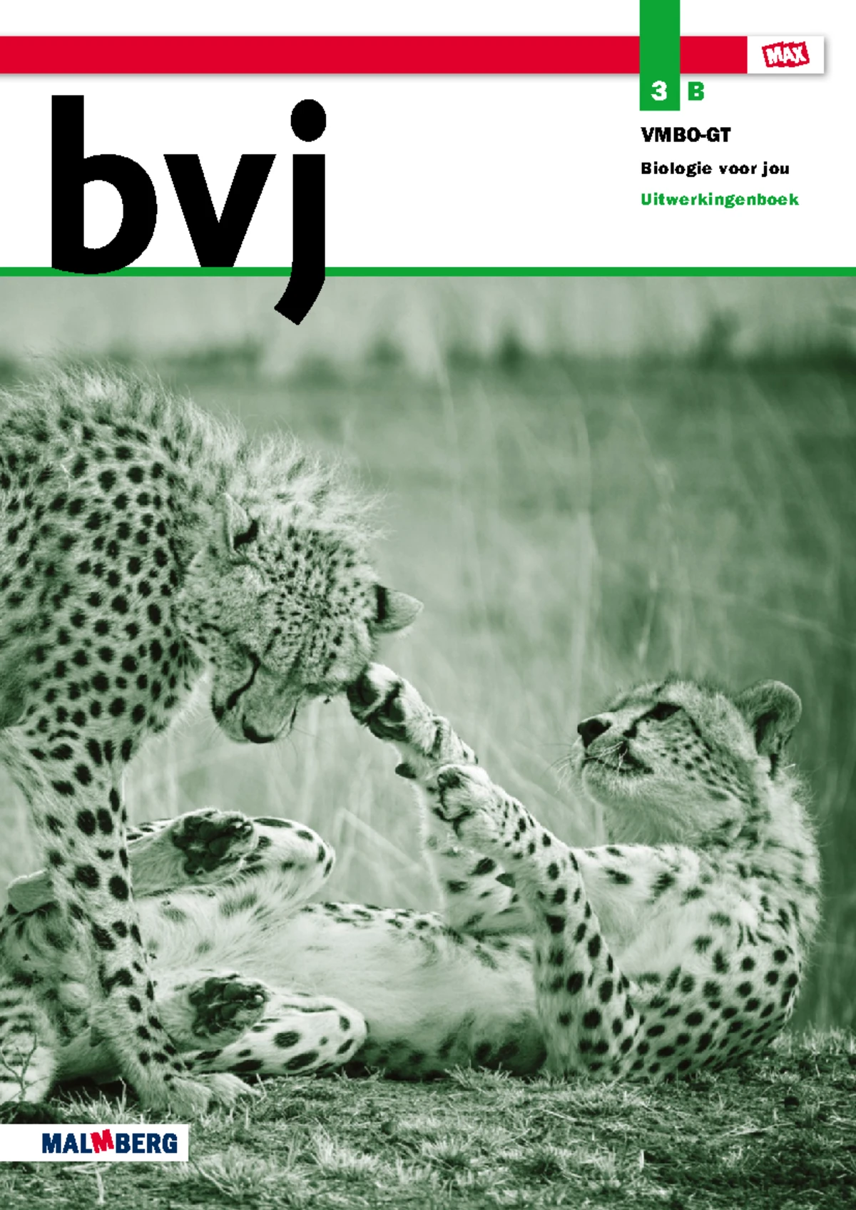 Genetische Modificatie: Definitie en Toepassingen uitgelegd - Studeersnel