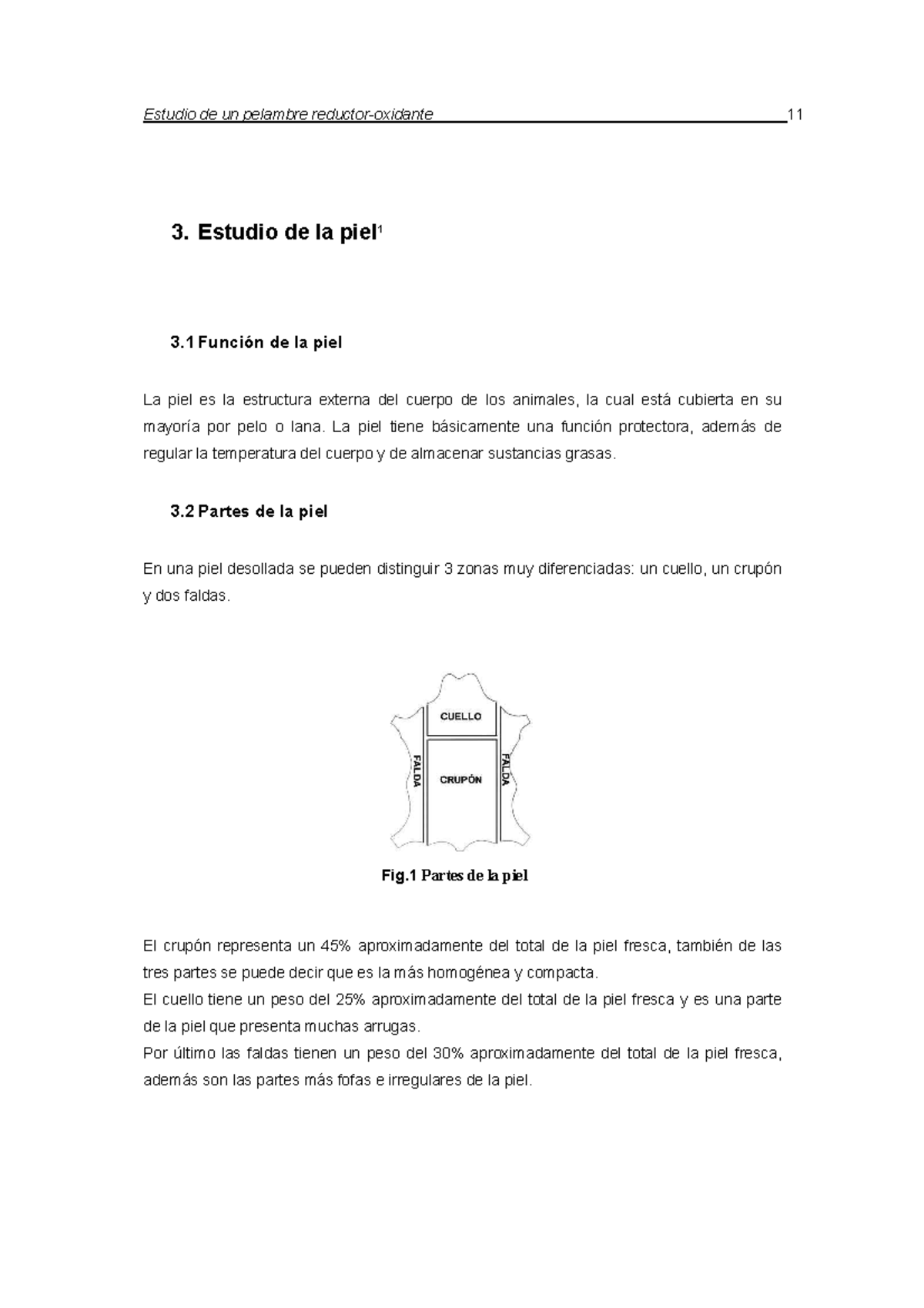 Proyecto Estudio de Pelambre y Piel - Parte 2 de 9 - Studocu