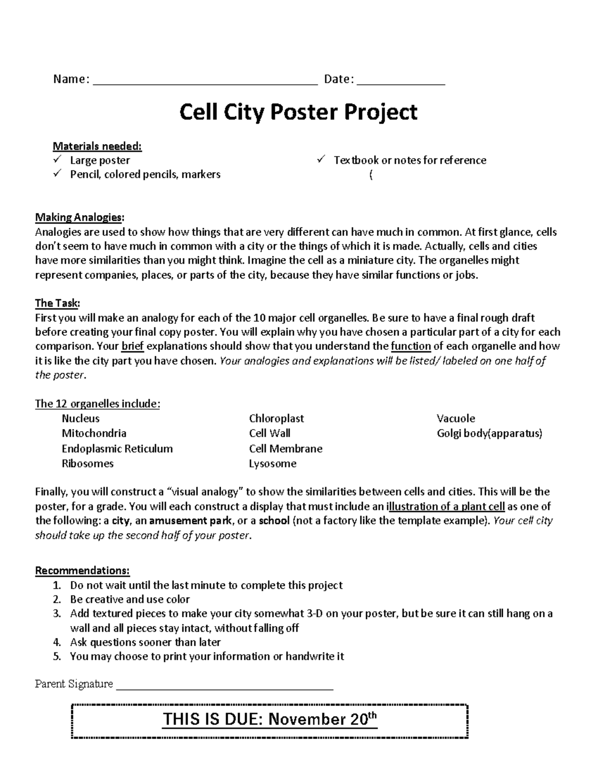 Cell City Analogy Project Examples