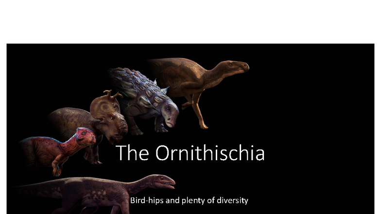 305-11 Ornithischia: Diversity, Anatomy, and Chewing Mechanisms - Studocu