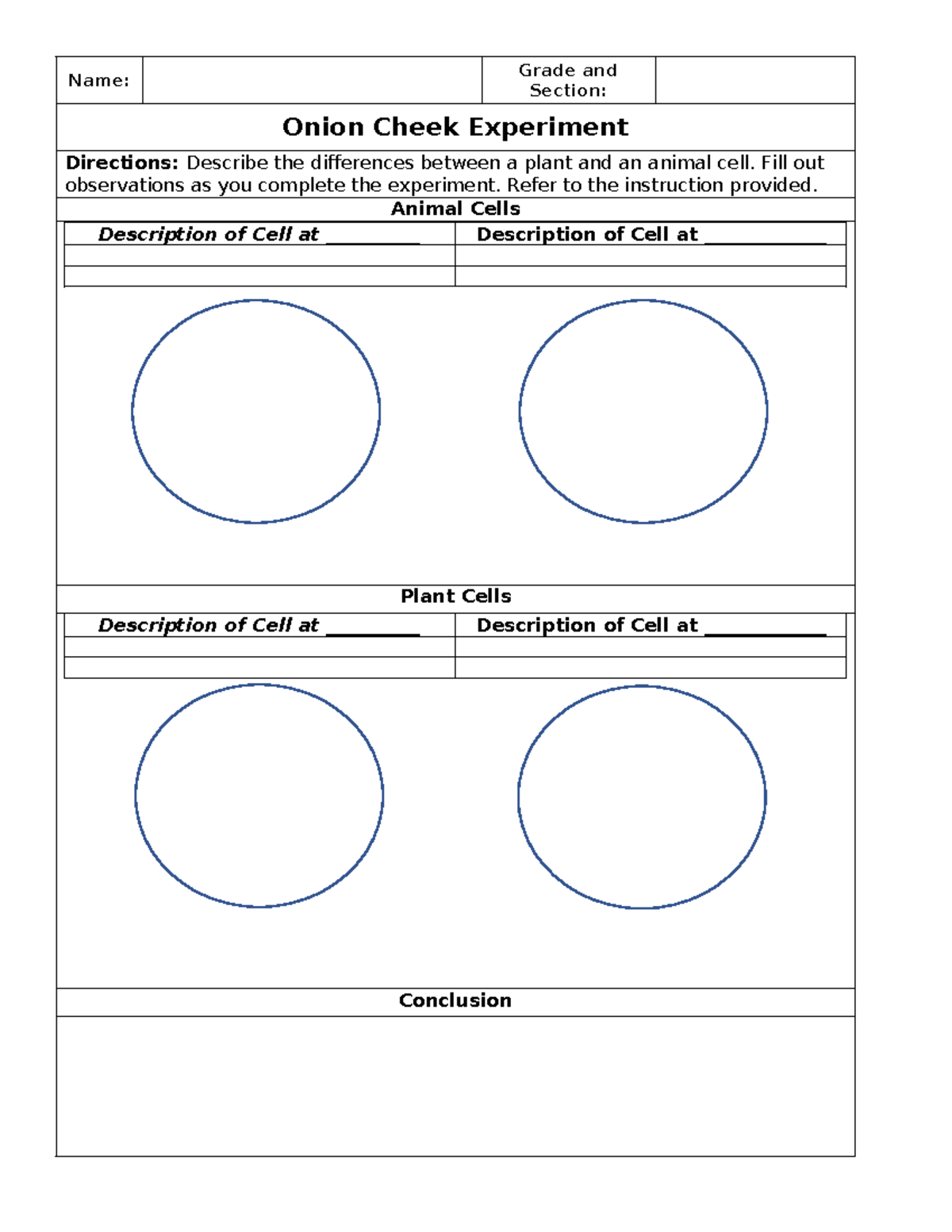 Onion and Cheek Cell Comparison Activity Sheet - Studocu