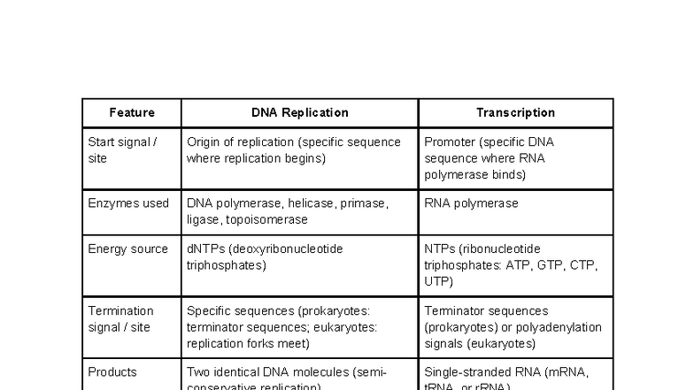 DNA Replication & Transcription Overview (Journal 11wkjejk) - Studocu