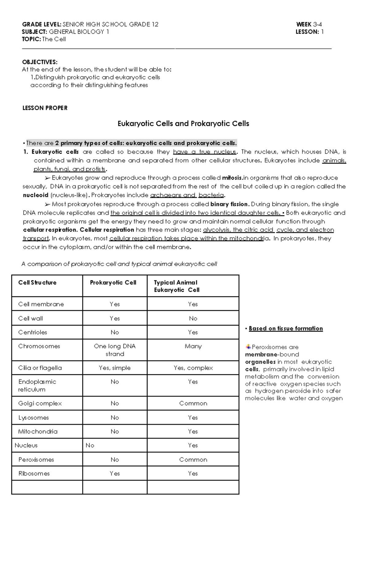 G12 General Biology 1 Lesson 1: Understanding Cell Modifications - Studocu