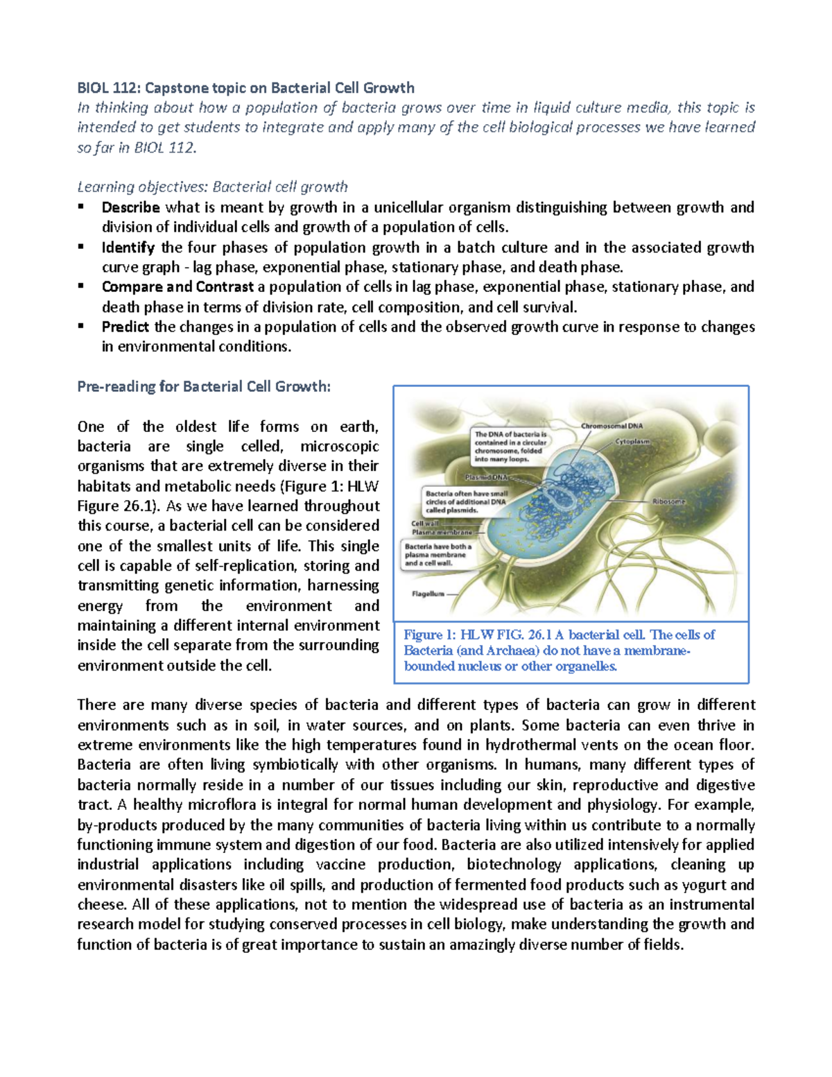 Bacterial Growth and Population Dynamics: Understanding Phases and ...