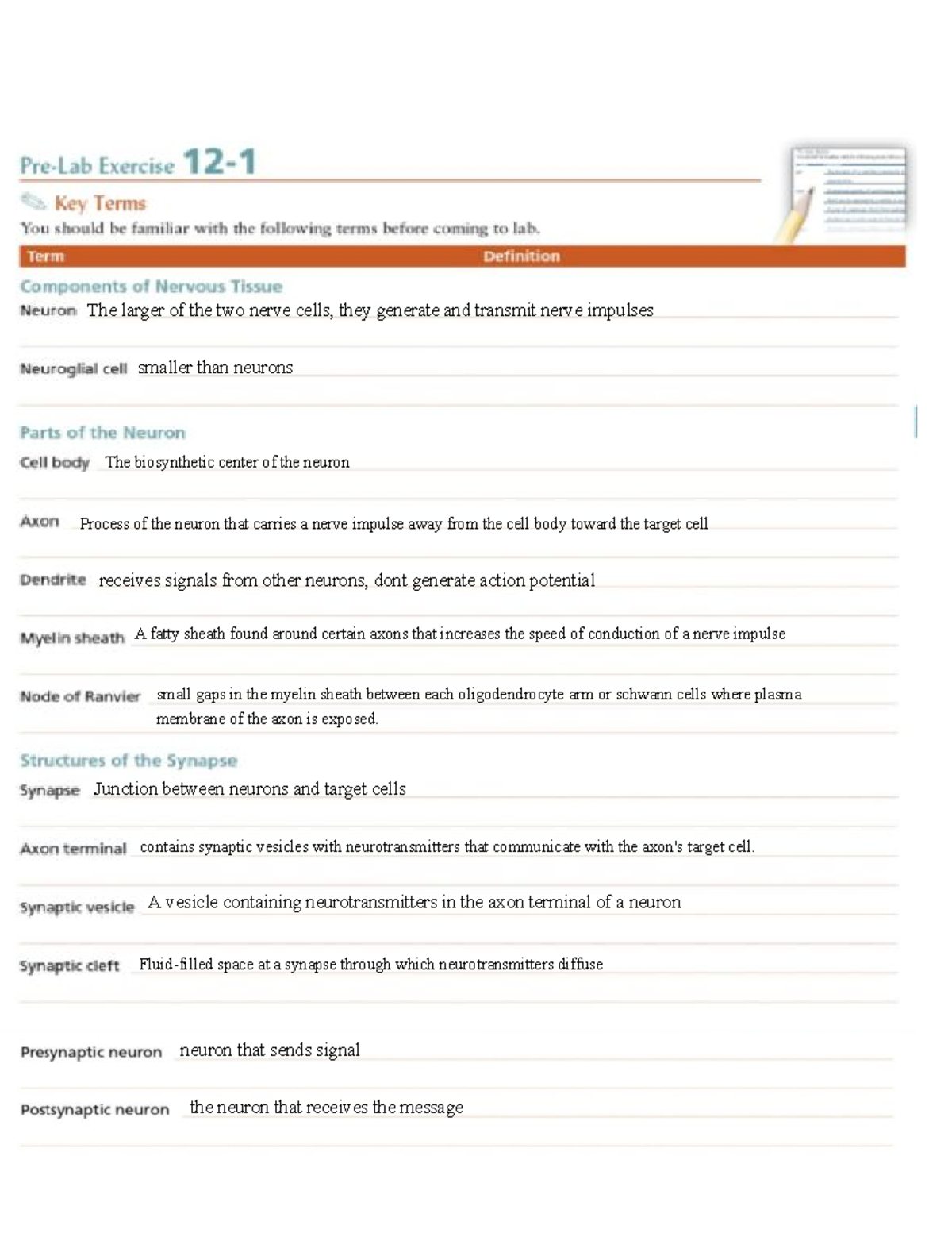 Unit 12: Introduction to the Nervous System - Lab 12 Overview - Studocu