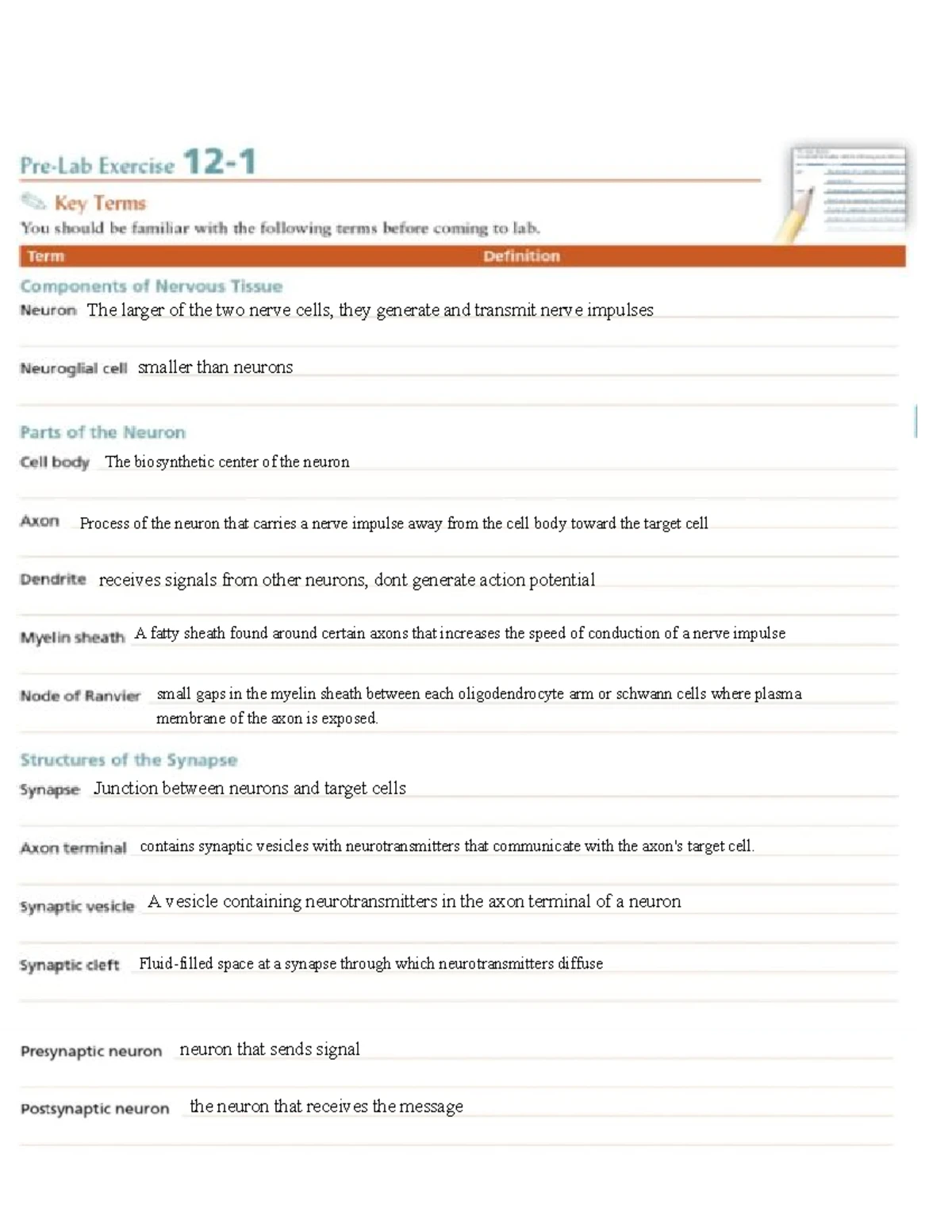 Chapter 9: Muscle and Muscle Tissue Quiz Questions Anatomy and ...
