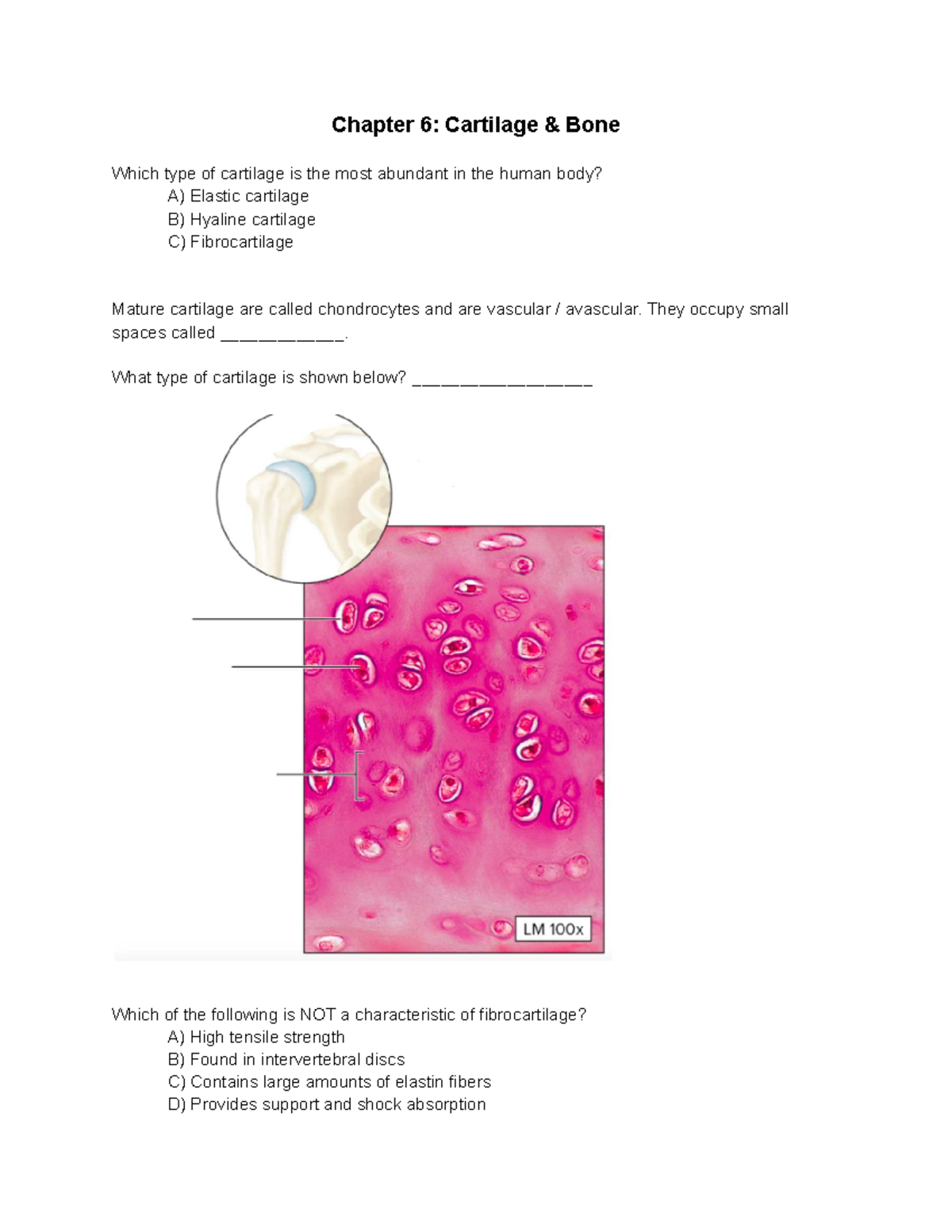 BY 115 Worksheet: Chapter 6 - Cartilage and Bone Overview - Studocu