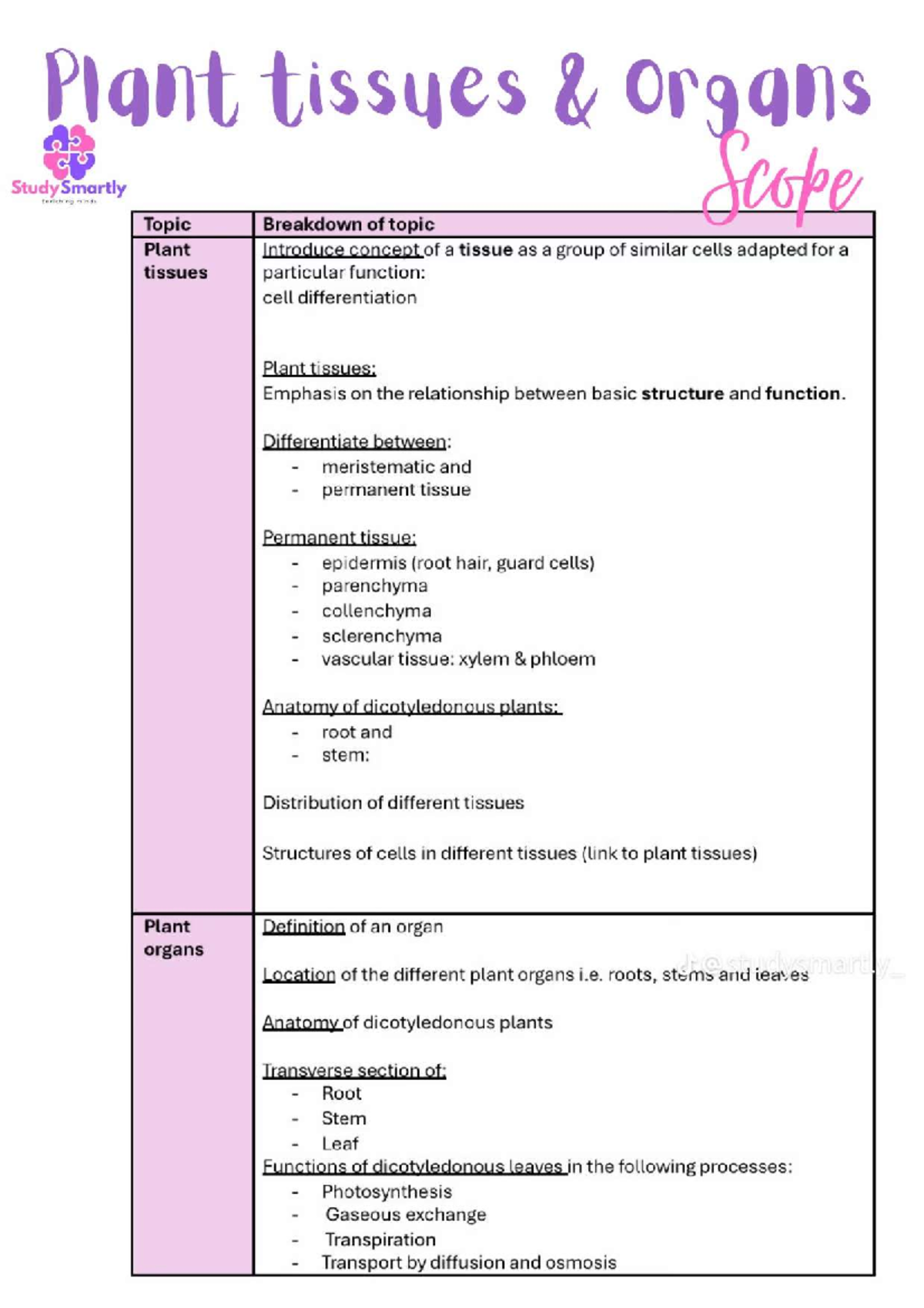 Term 1 Topic 5 & 6: Plant Tissues and Organs Overview - Studocu