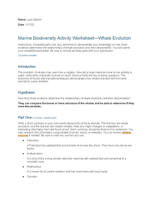 Chapter 10 - Negotiating Intersections - chapter 10 NEGOTIATING ...