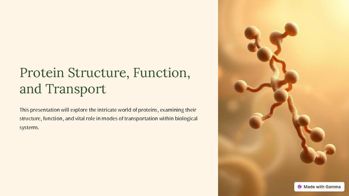 Protein Structure Function and Transport 2 - Protein Structure, Function, and Transport This ...