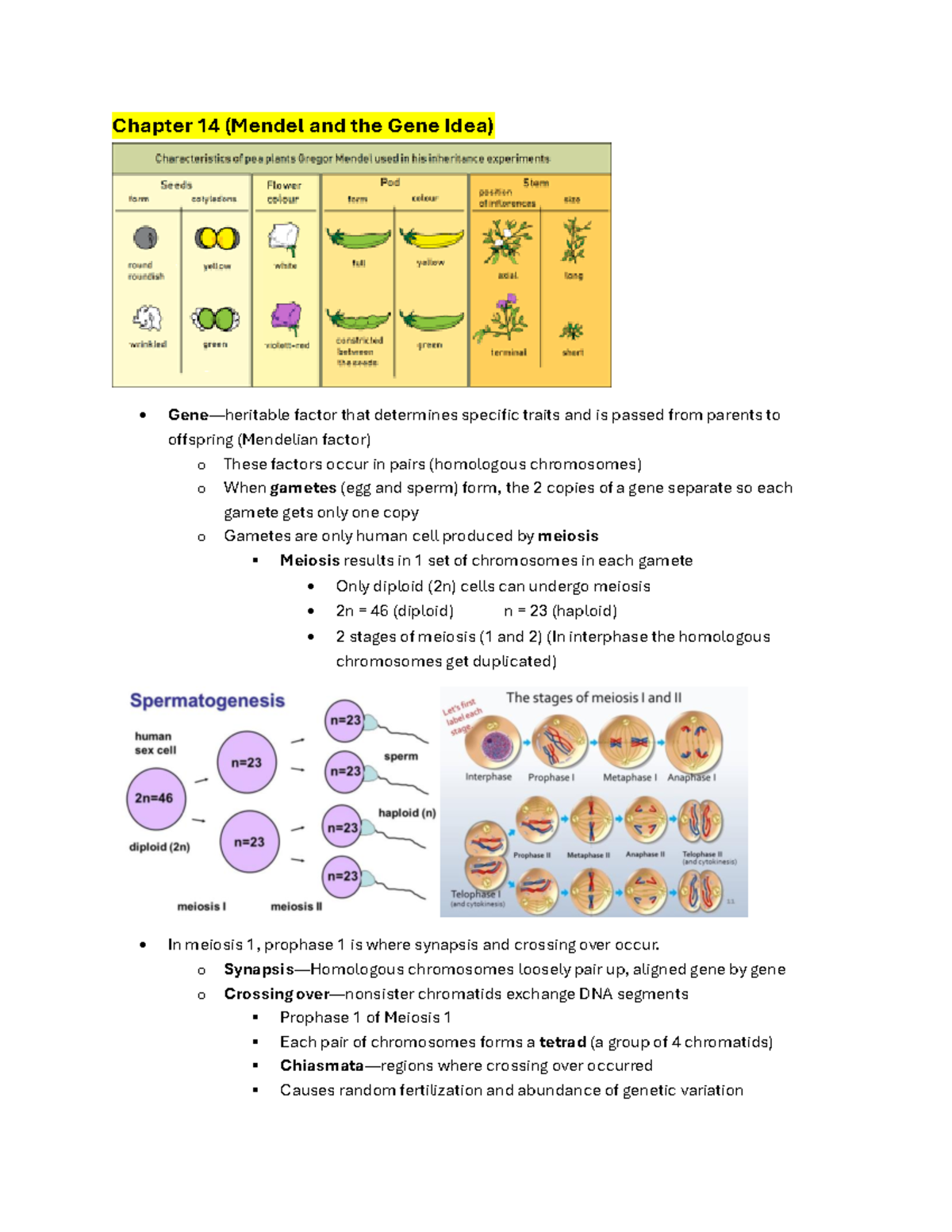 Chapter 14: Mendel and the Gene Idea - Studocu