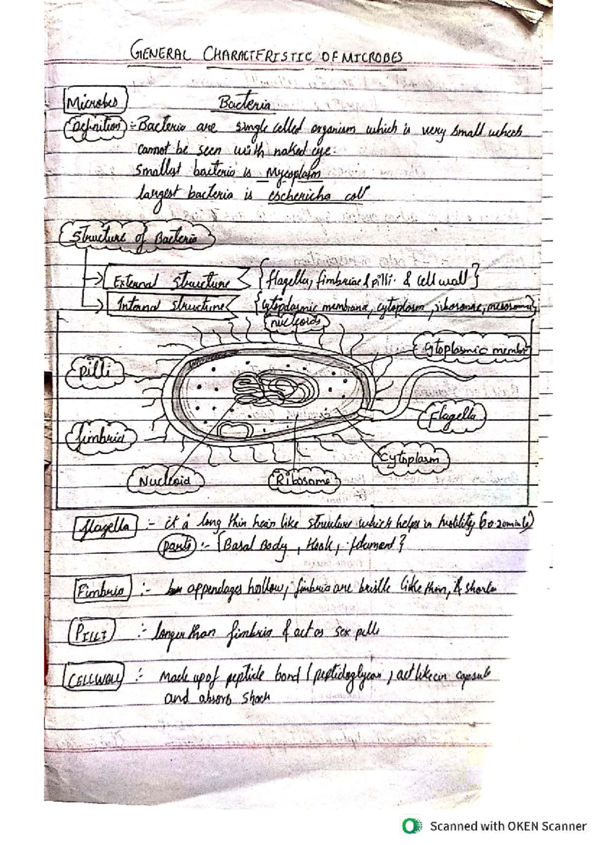 Complete Microbiology & Infection Control Notes (Course Code: MICR101 ...