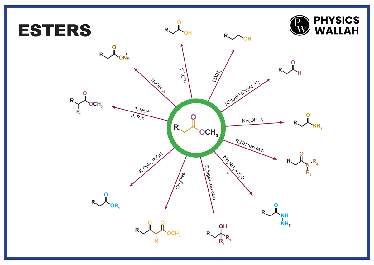 Chemistry Class 12: Comprehensive Study Notes on Reactions and ...