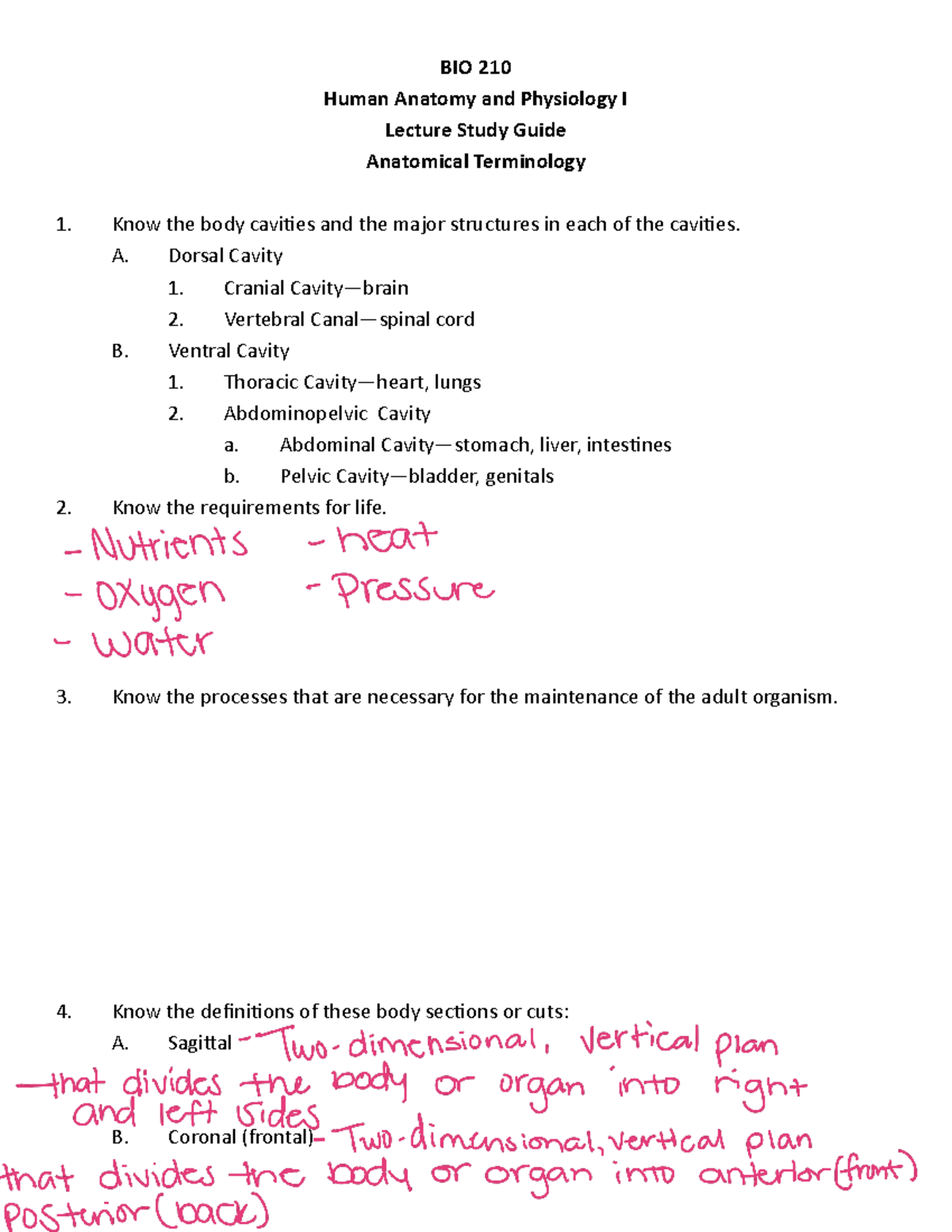 BIO 210 Final Exam Study Guide: Anatomic Terminology Overview - BIO 210 ...