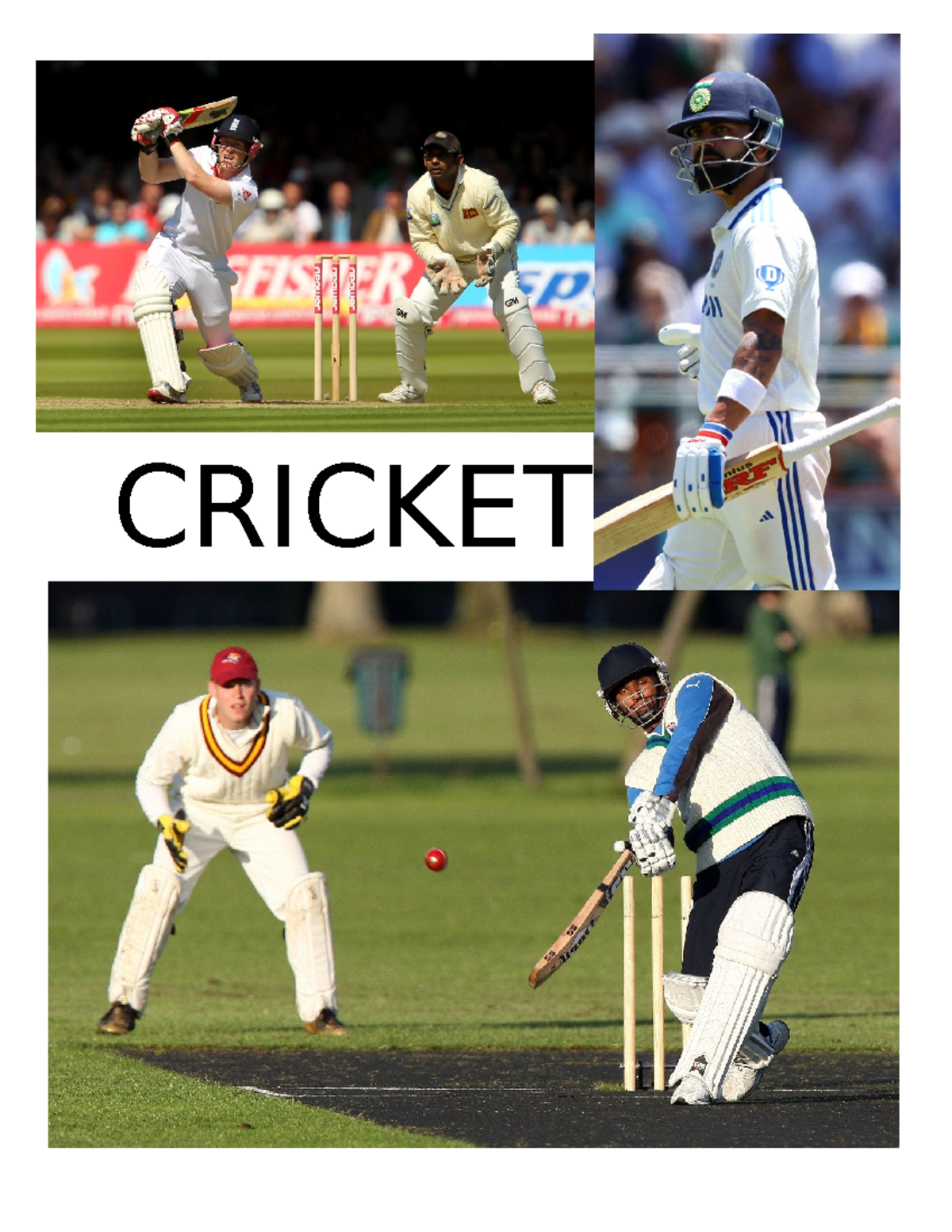 CRICKET 101: Basic Rules, Objectives, and Gameplay Overview - Studocu