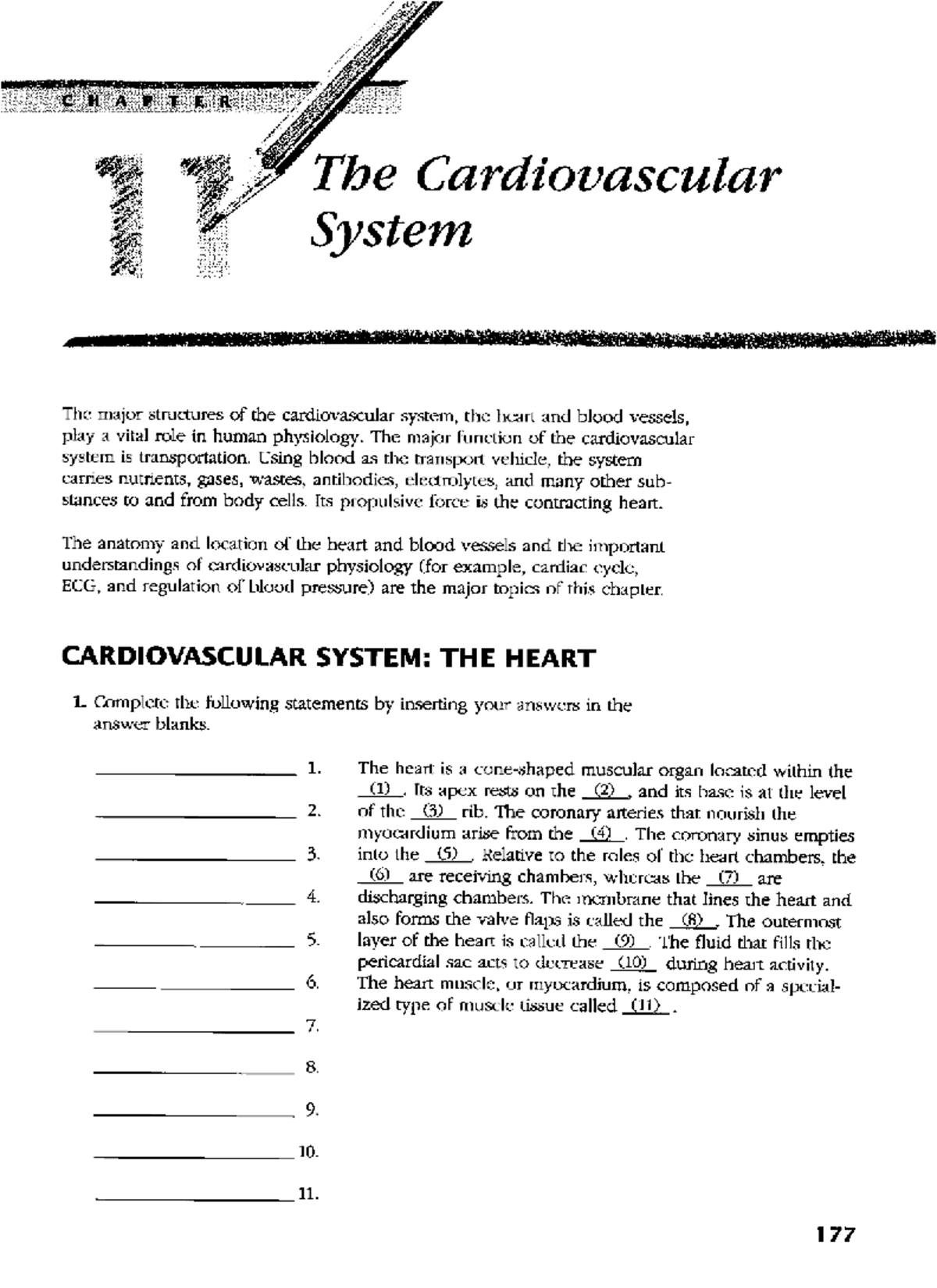 Ch11 Workbook - Cardiovascular System Study Guide - Studocu