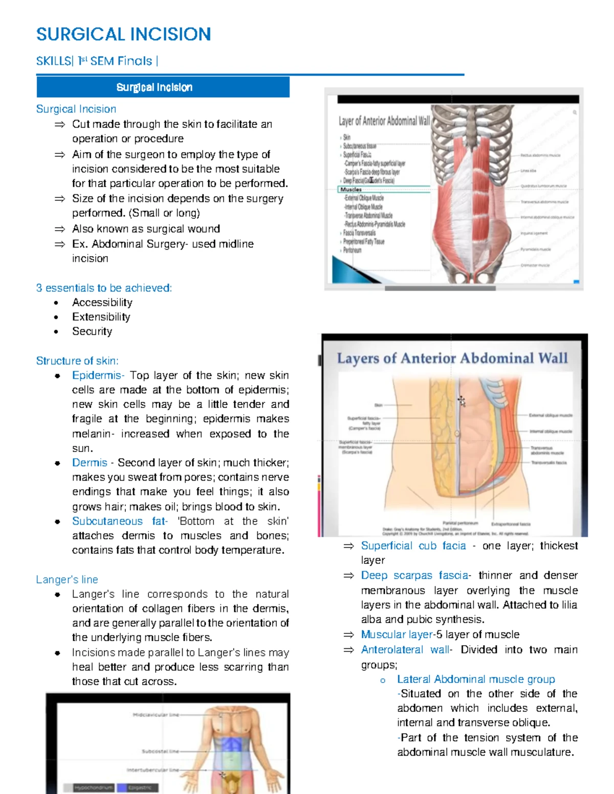 Surgical Incisions AND Organs Involved WITH Illustrations - I. SURGICAL ...